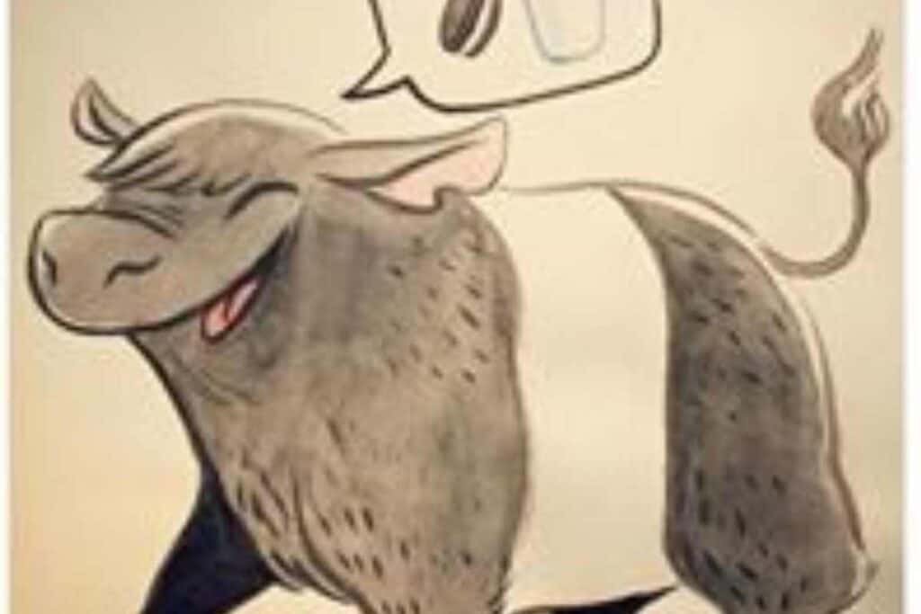 How Much Does a Belted Galloway Cost? - Torfoot Farm Belted Galloways